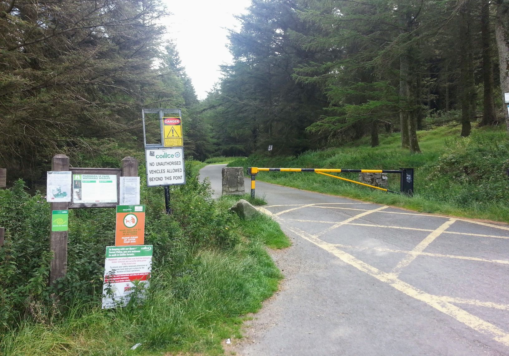 Ticknock hike: The Fairy Castle loop - Hikes Near Dublin