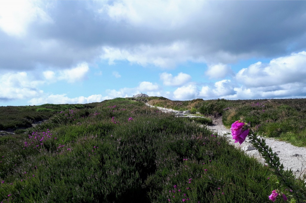 Ticknock hike: The Fairy Castle loop - Hikes Near Dublin
