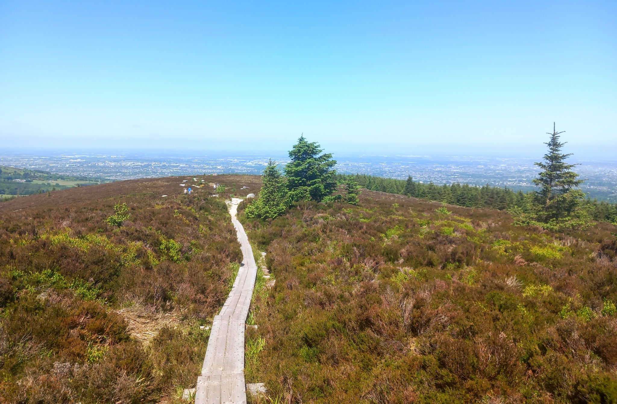 Tibradden Wood Walk - Hikes Near Dublin